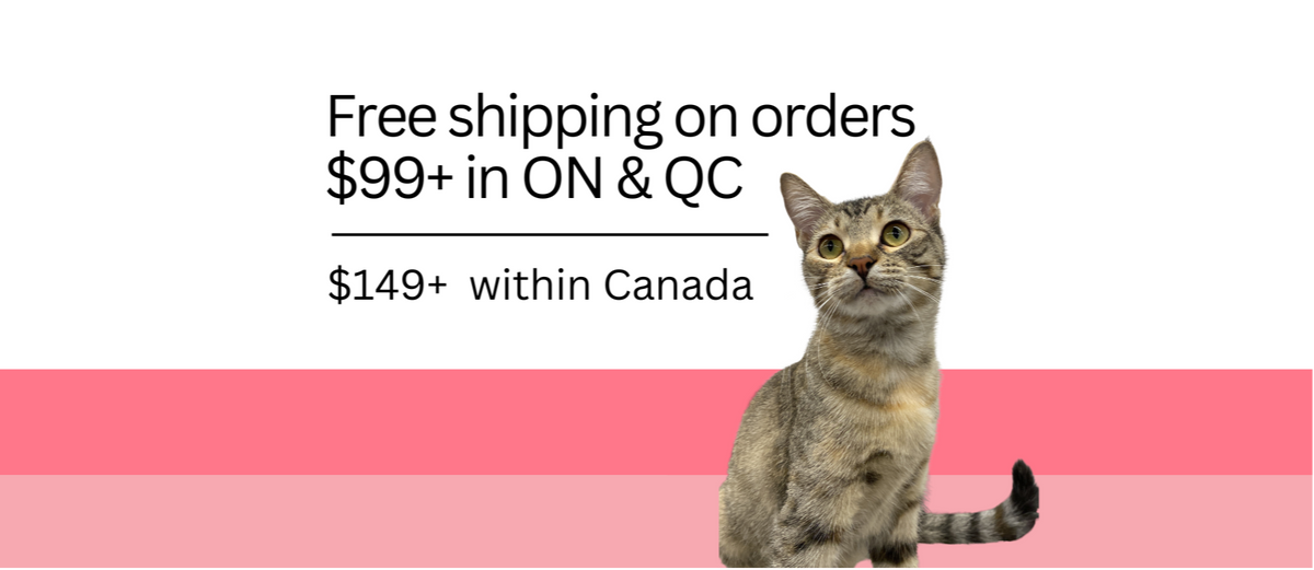 Canada's Cat Store – Best Cat