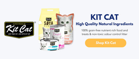 Canada's Cat Store – Best Cat