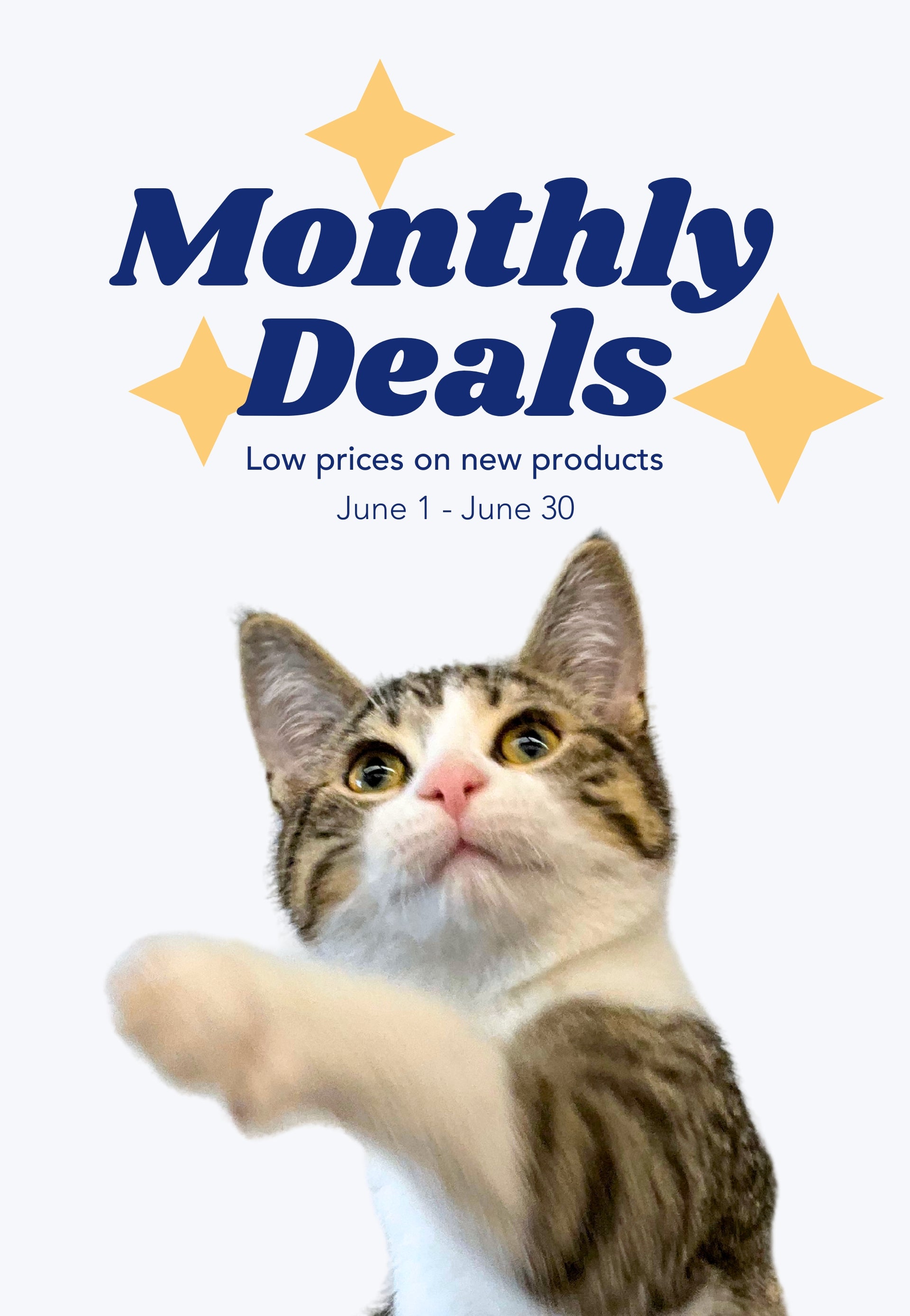 Canada's Cat Store – Best Cat