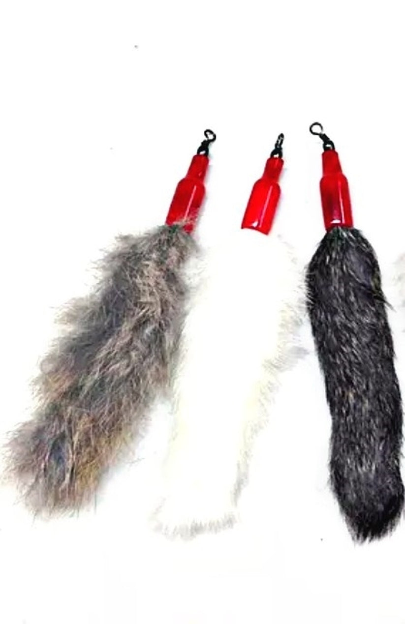 Fur Fun – Best Cat